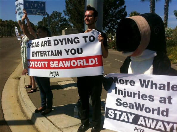 PETA Debuts Anti-SeaWorld Ad Targeting Comic Con Attendees - Coaster Nation